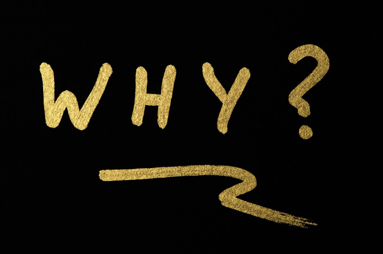 The Why Question | Philie Group
